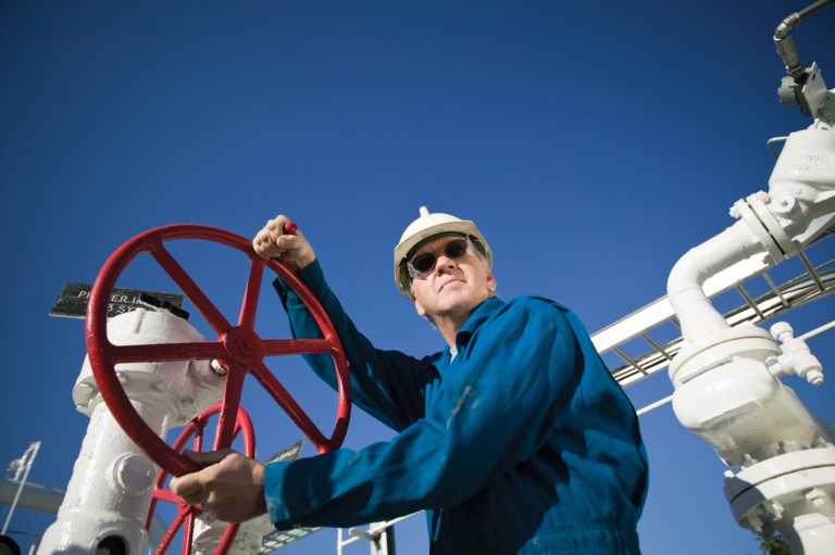 Buckeye Fact Sheet - Fillit Communications